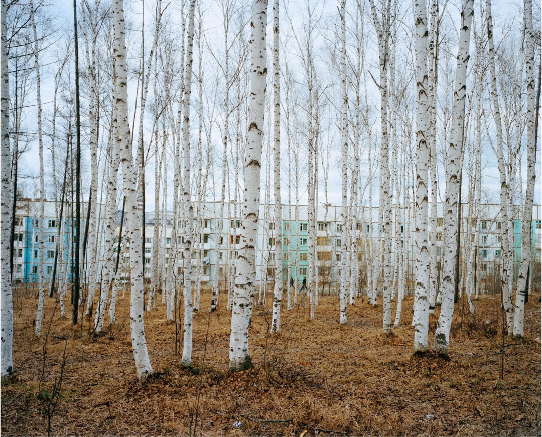 Les paysages de Russie d’Alexander Gronsky – La boite verte