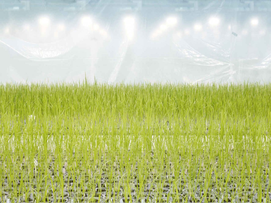 L’agriculture moderne – La boite verte