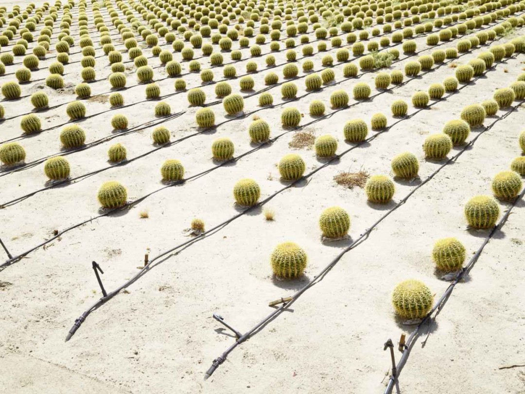 L’agriculture moderne – La boite verte